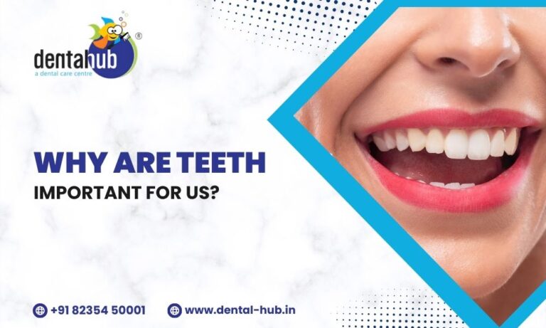 Why Are Teeth Important for Us?